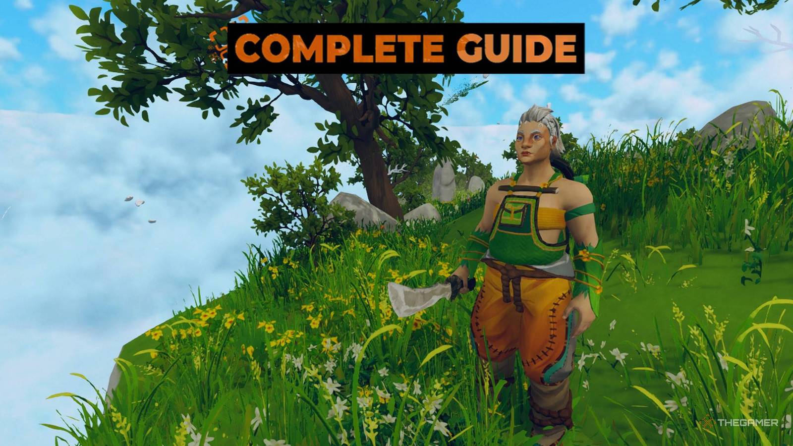 Complete Guide For Aloft