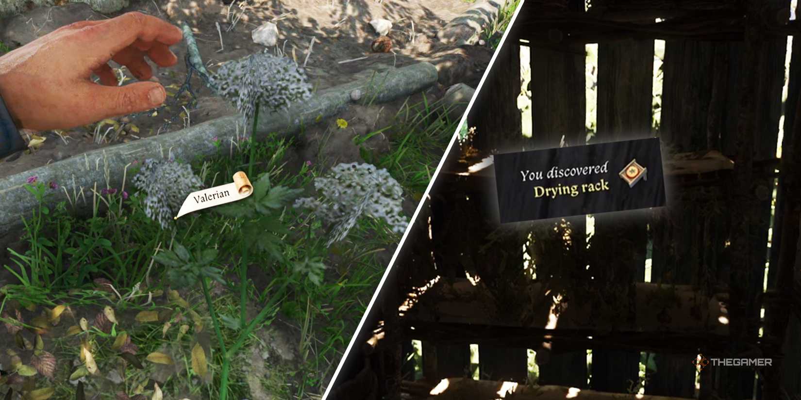 How To Craft Potions Using Alchemy In Kingdom Come: Deliverance 2