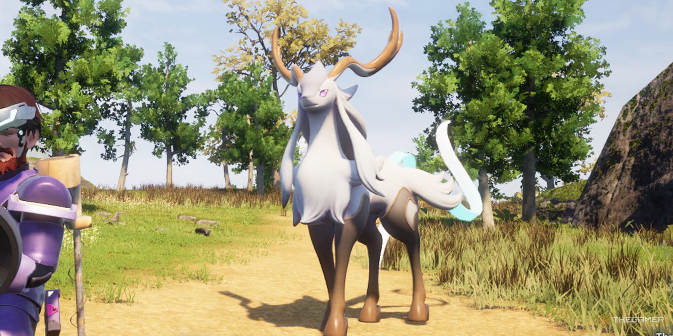 Where To Find Herbil In Palworld