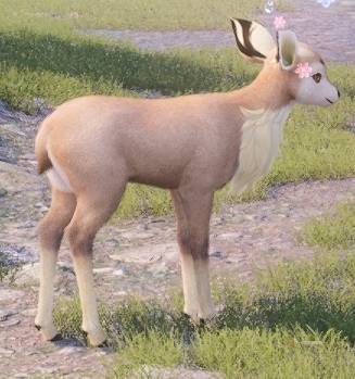 The Best Ways To Farm Animal-Grooming Insight In Infinity Nikki