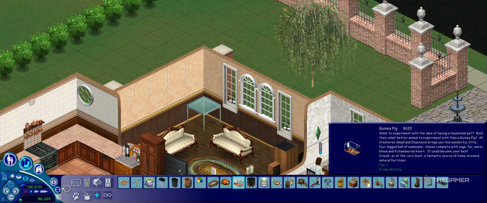 How To Prevent And Cure Guinea Pig Disease In The Sims 1