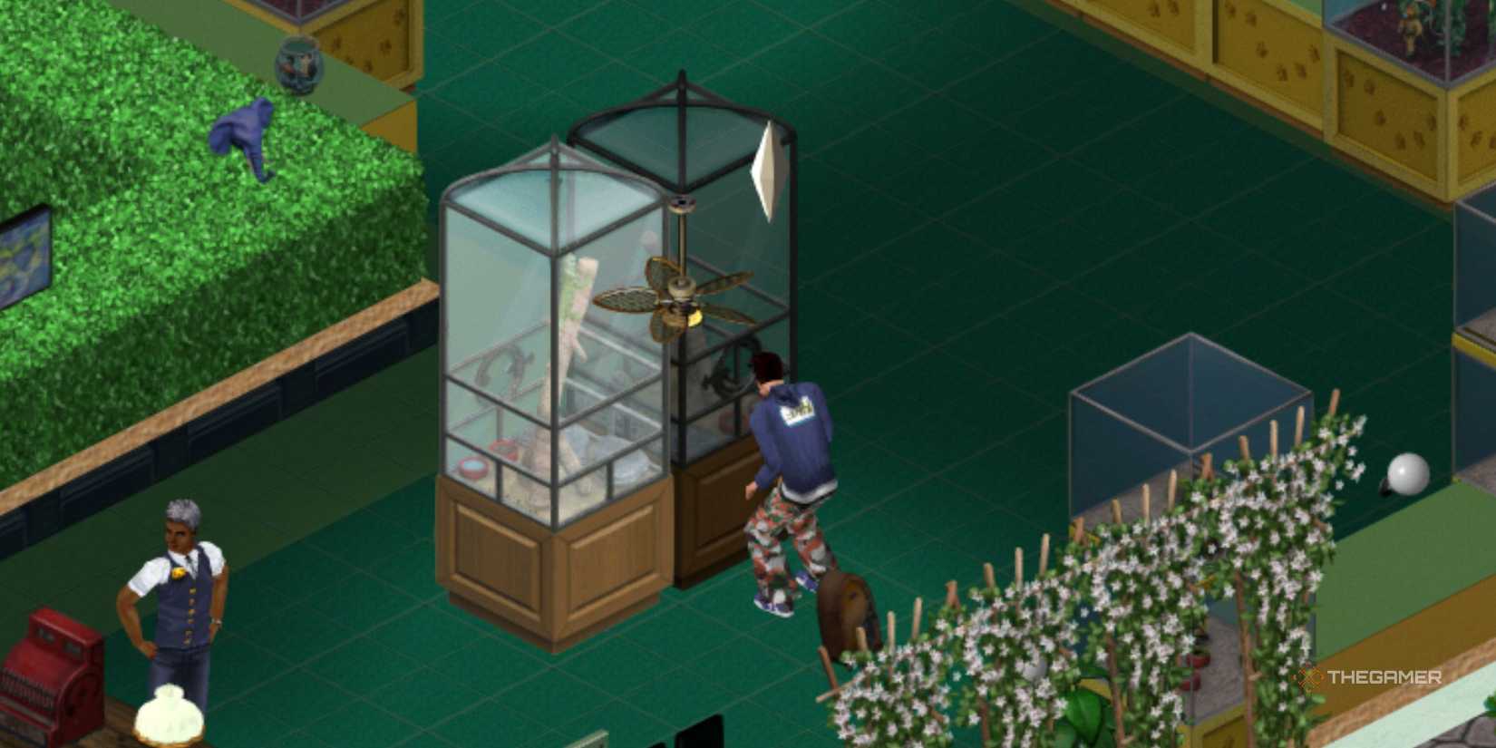 The Best Pet Types In The Sims