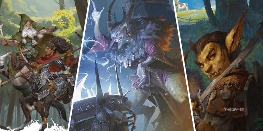 The Best Wild Shape Animals From The DnD 2025 Monster Manual