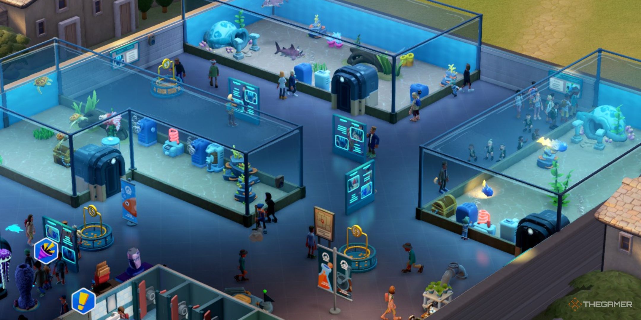 Habitat And Terrarium Requirements For Each Wildlife Exhibit In Two ...