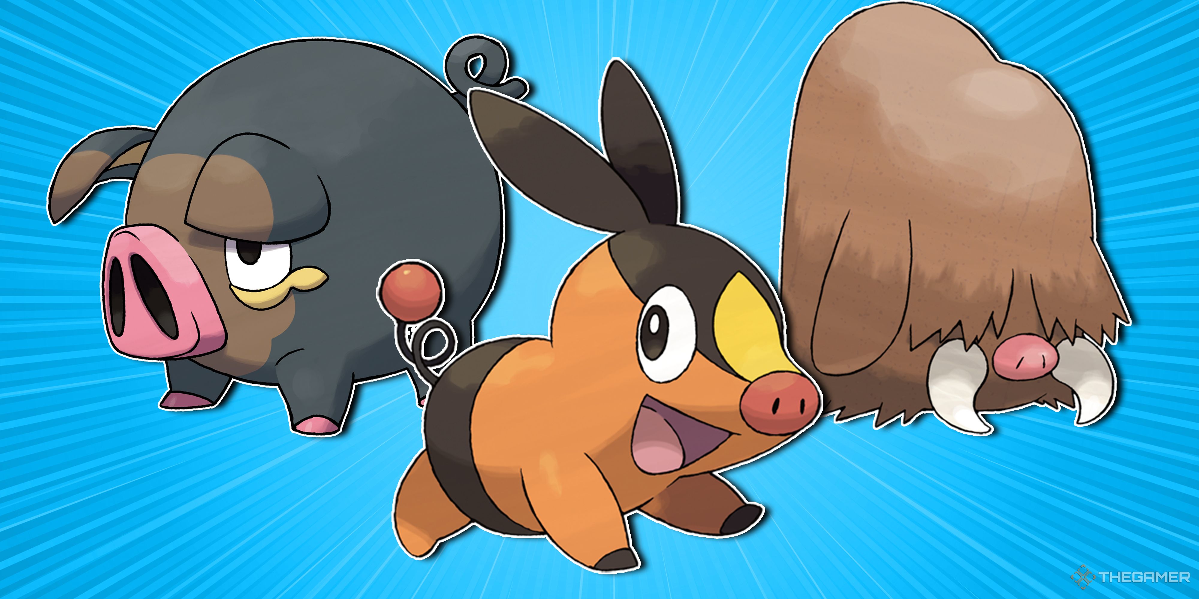 Pokemon Pignite Evolution