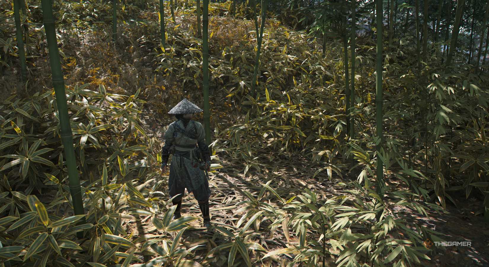 How to Solve The Seashell Riddle In Assassin's Creed: Shadows