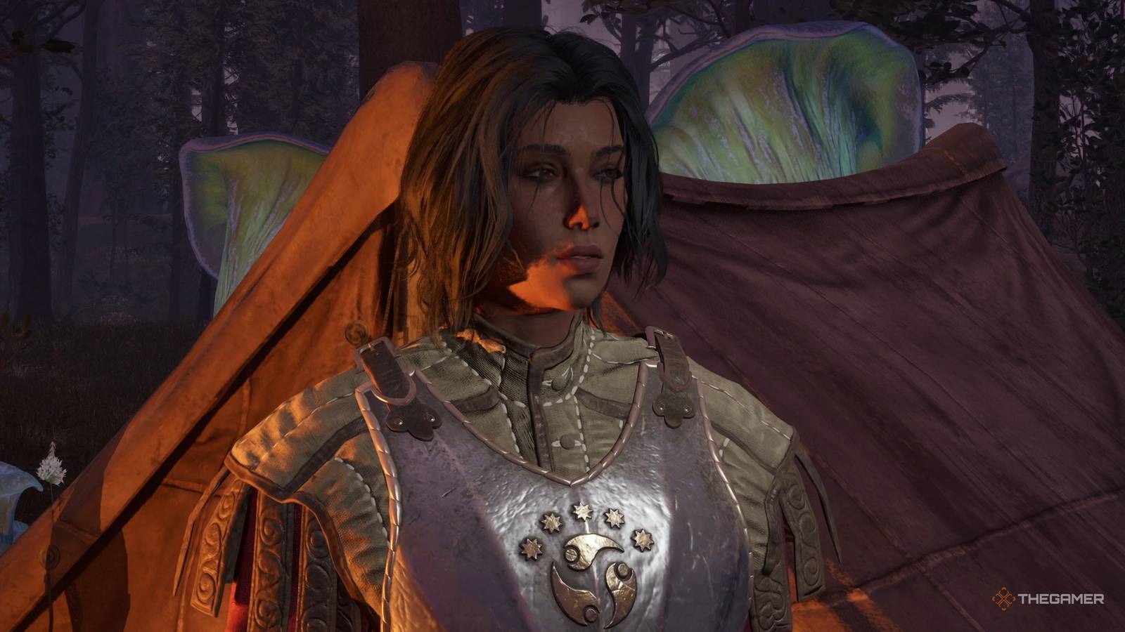 How To Complete The Missing Rangers Quest In Avowed?