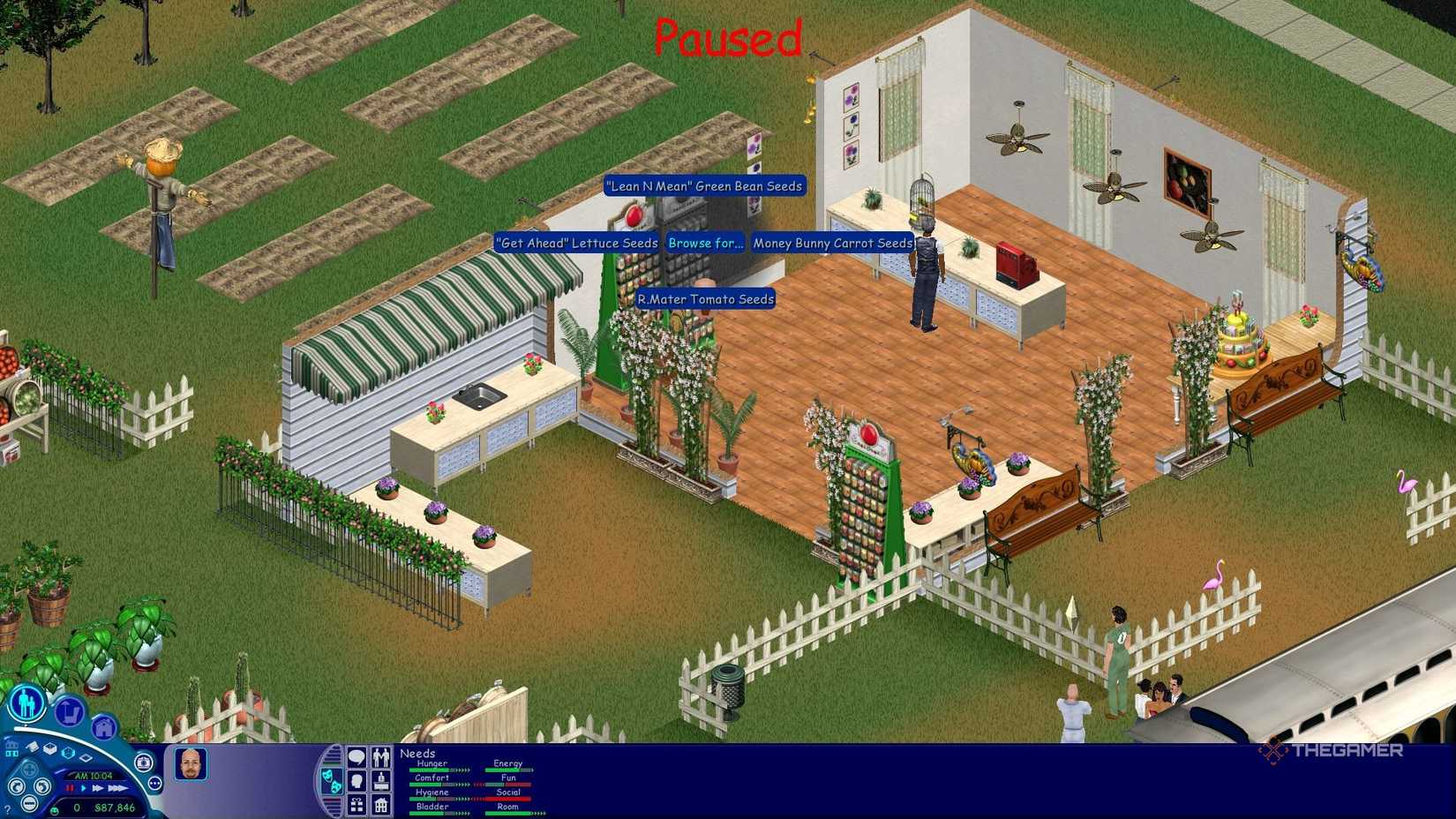 All Crops And How To Grow Them In The Sims