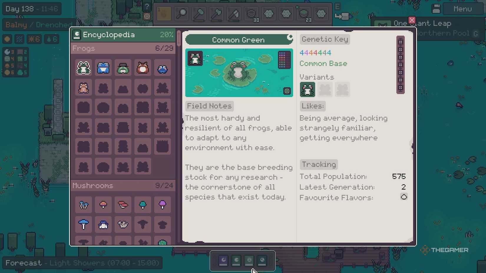 All Frogs And Their Variants In Mudborne