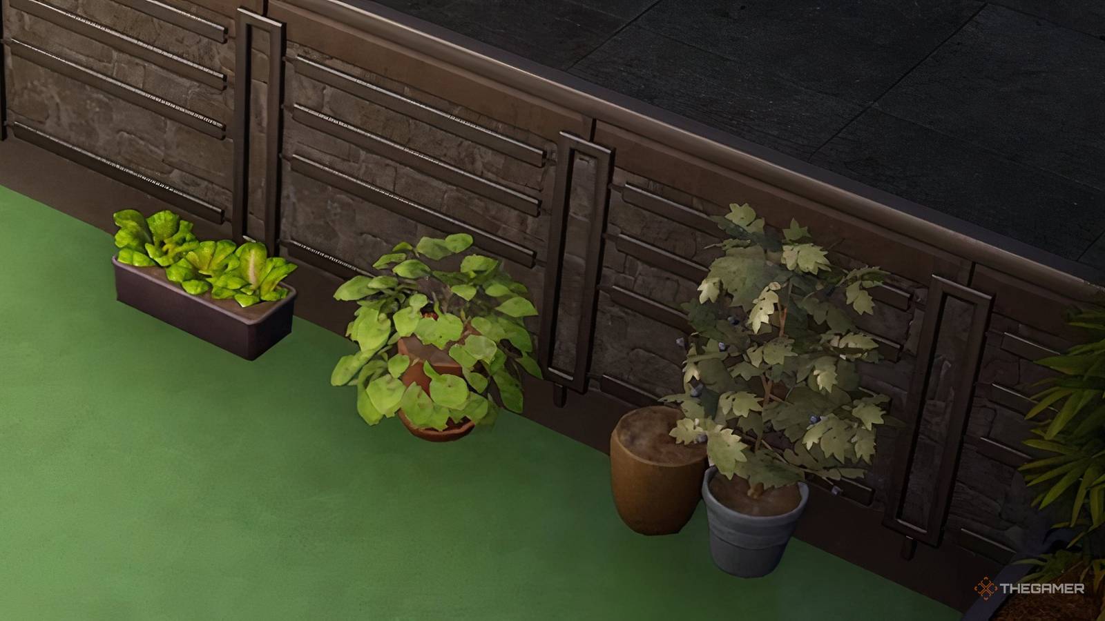 How To Plant Crops In InZoi
