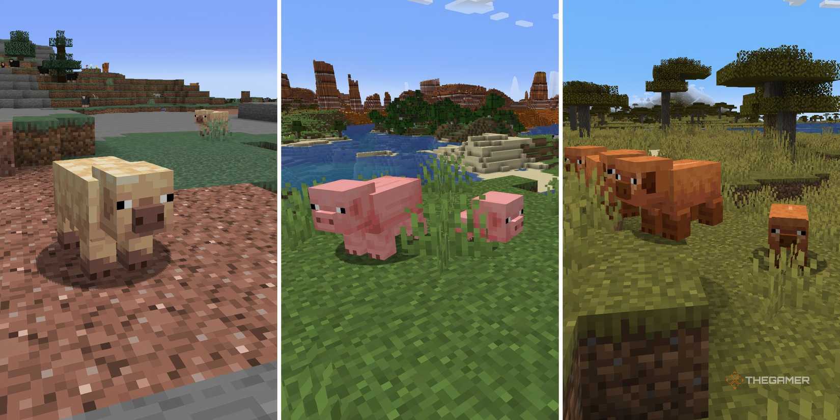 All New Features In Minecraft's Spring To Life Update