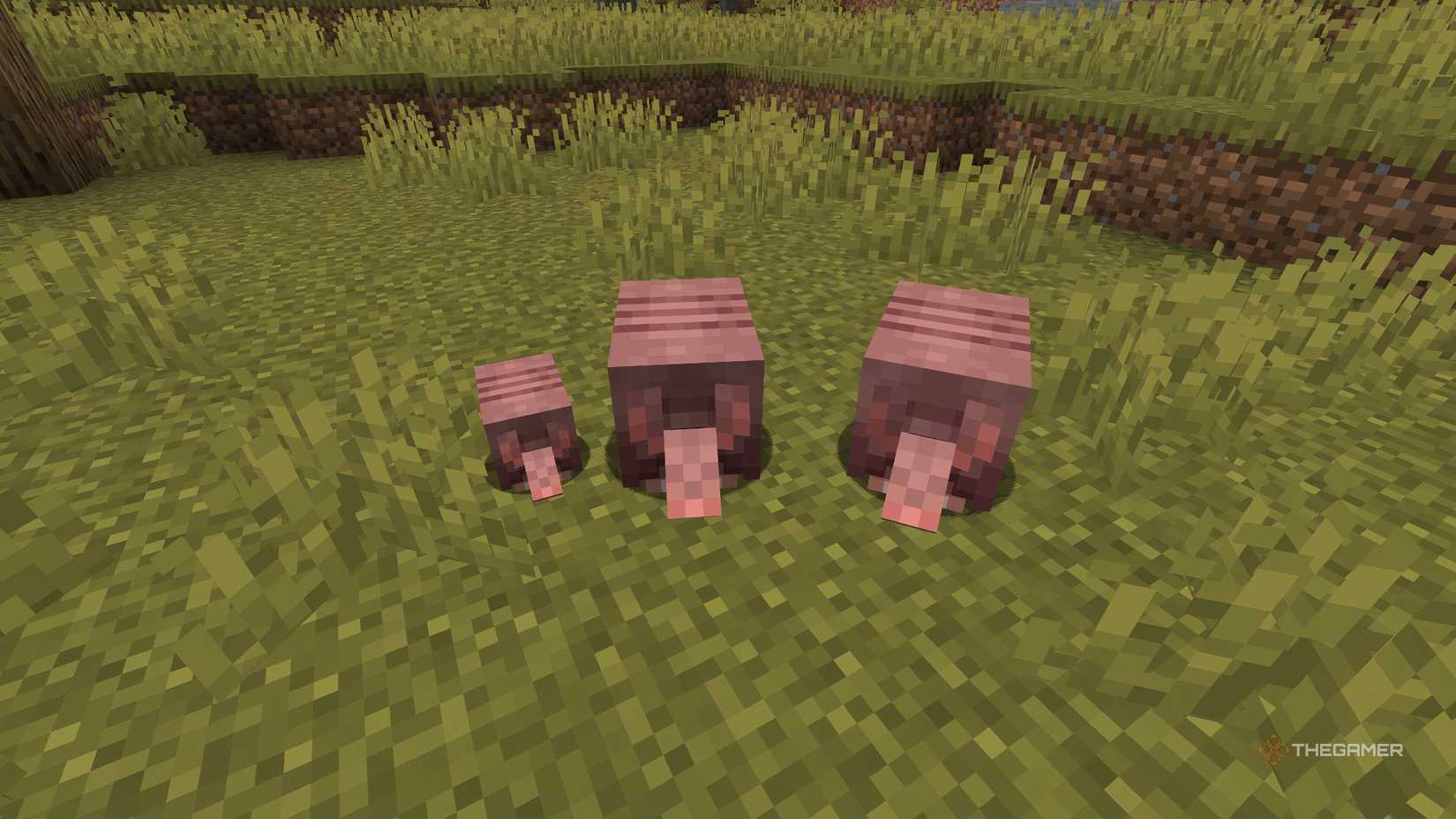 How To Feed Armadillos In Minecraft