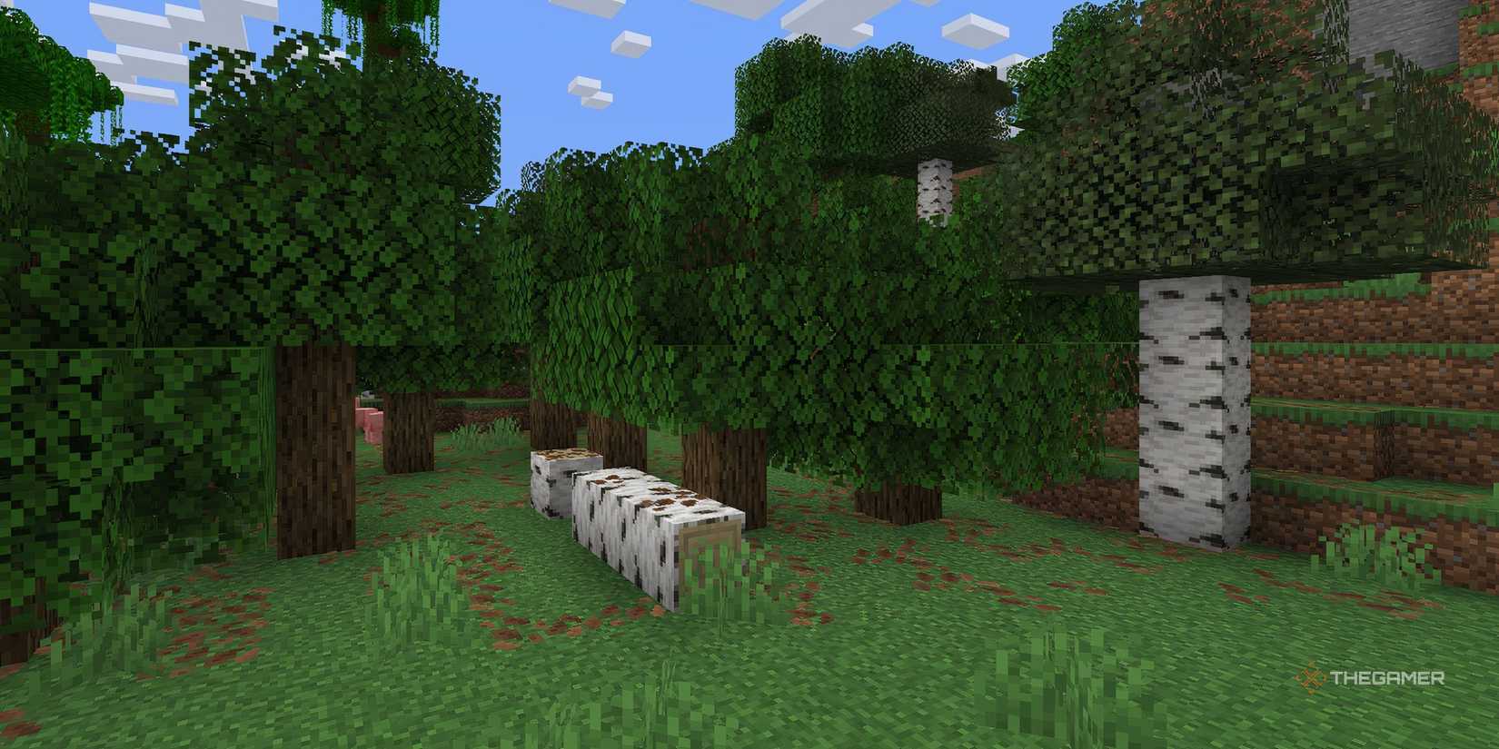 All New Features In Minecraft's Spring To Life Update