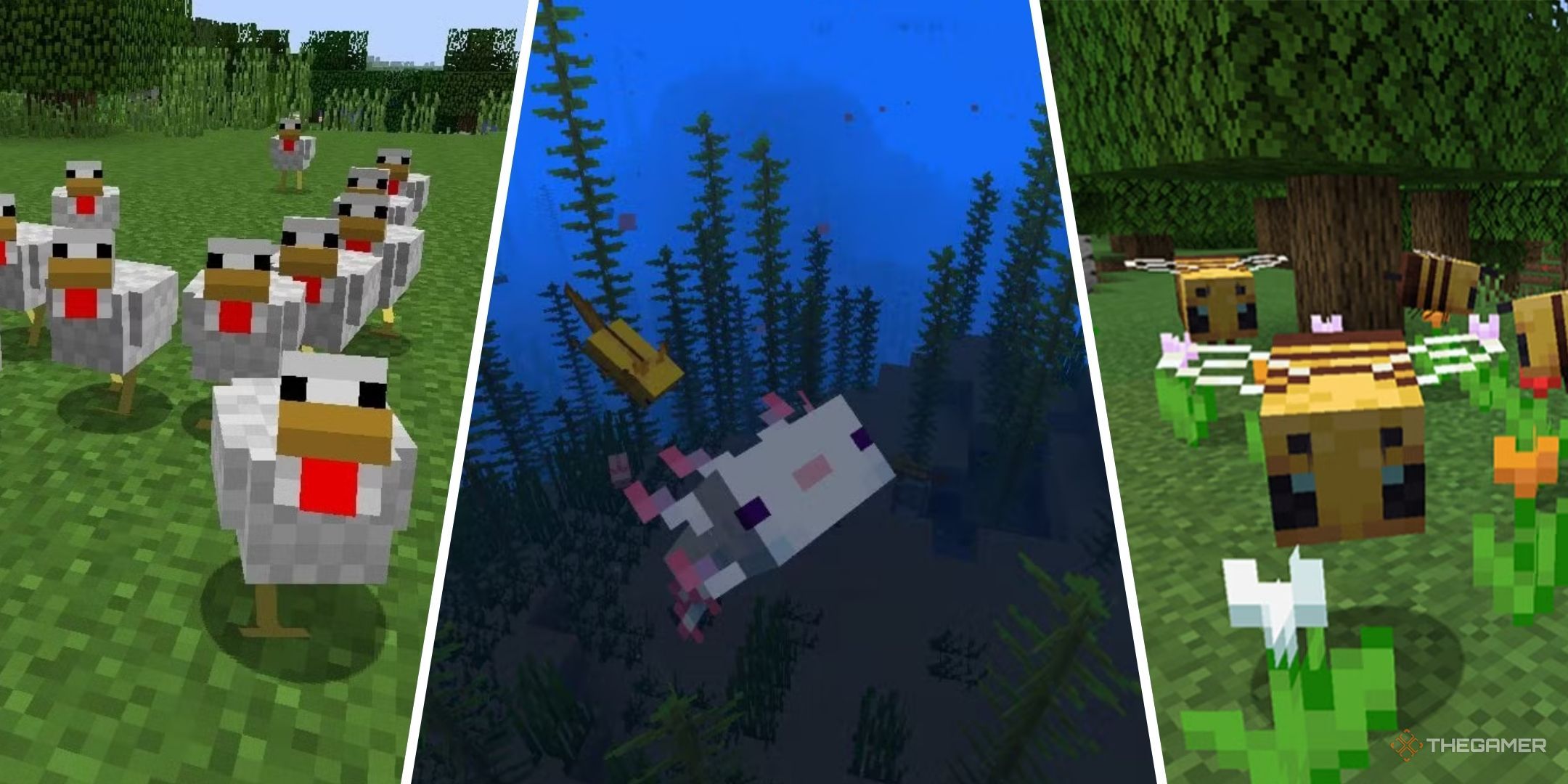 Minecraft: 9 Best Non-Pay-To-Win Servers