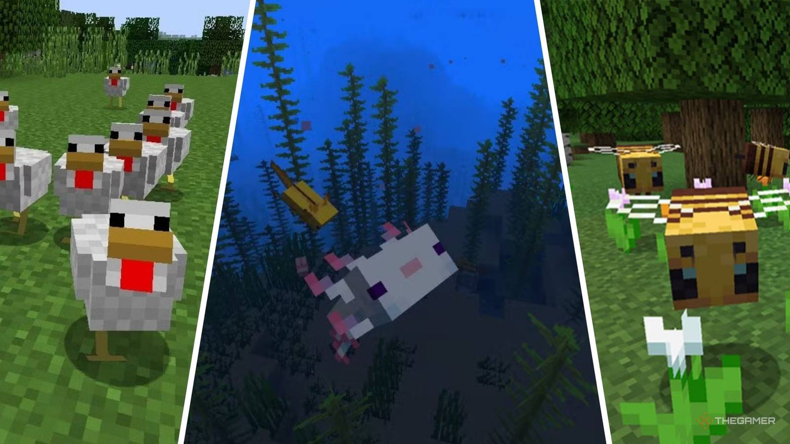 最可爱的 Minecraft 生物 - Recmg.com