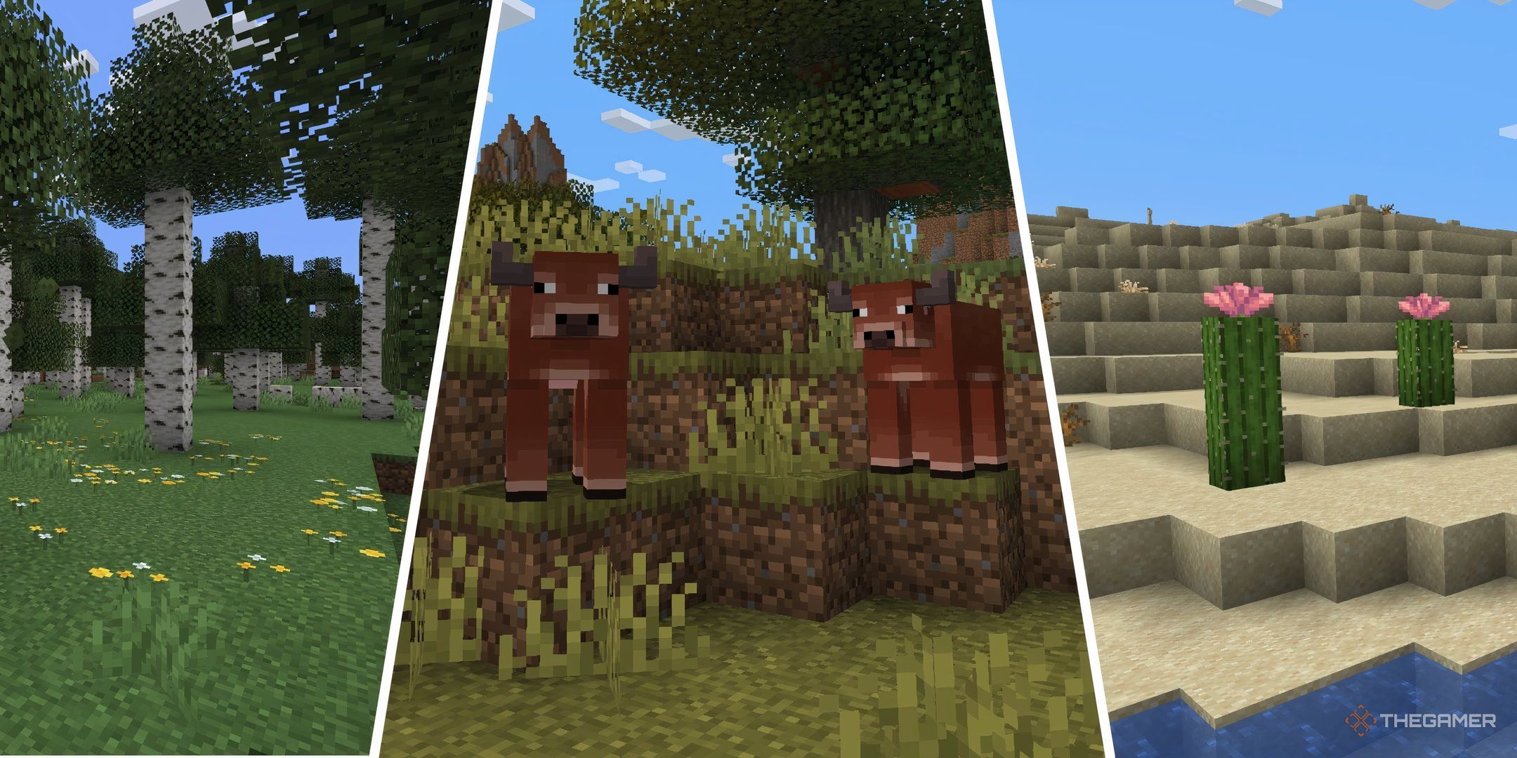 All New Features In Minecraft's Spring To Life Update