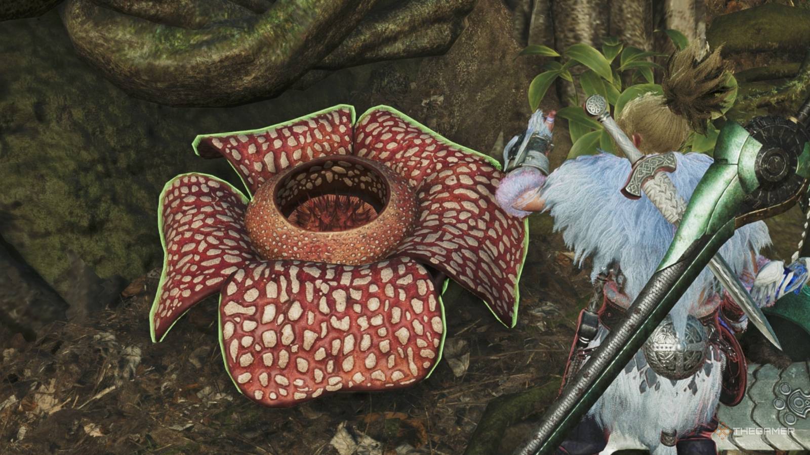 Where To Find Queensbloom Pollen In Monster Hunter Wilds