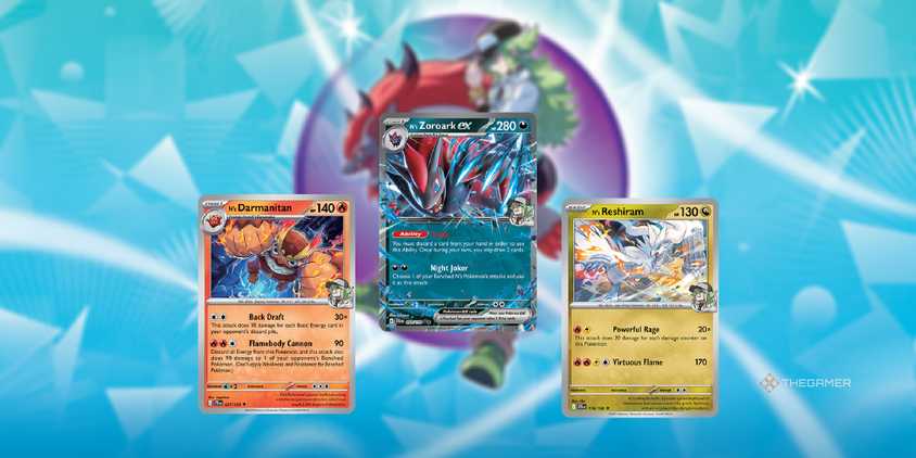 The Best Supporter Cards In The Pokemon TCG