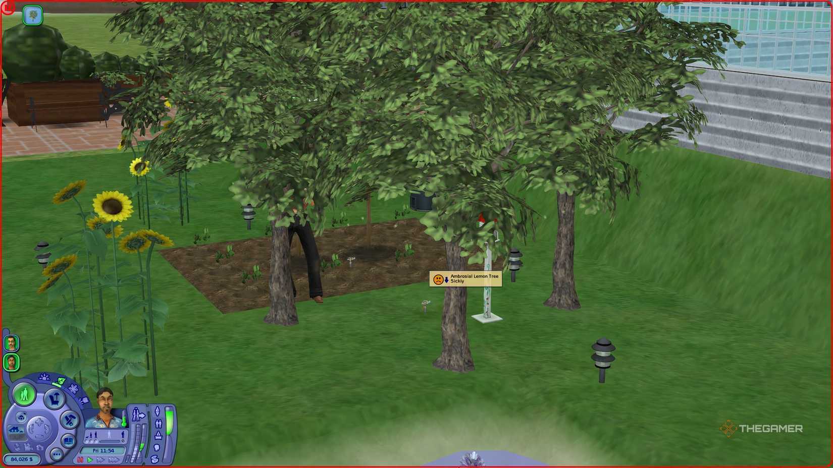 How To Maximise Gardening Skill In The Sims 2: Seasons