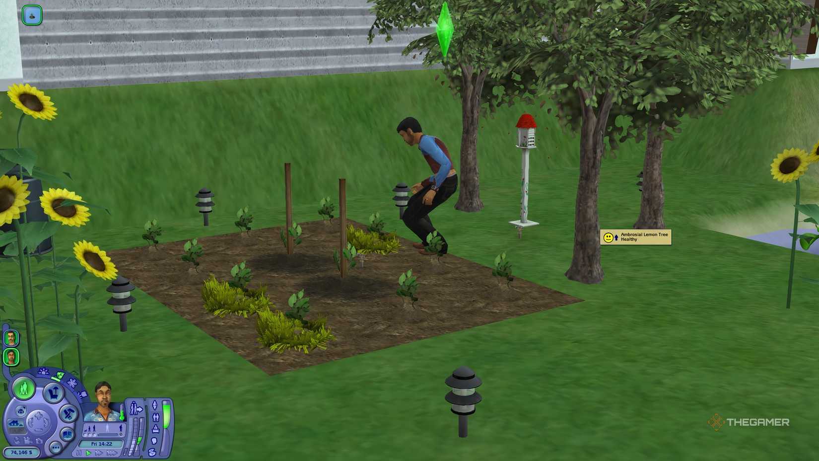 How To Maximise Gardening Skill In The Sims 2: Seasons