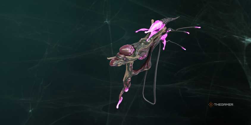 The Best Coda Caustacyst Builds In Warframe
