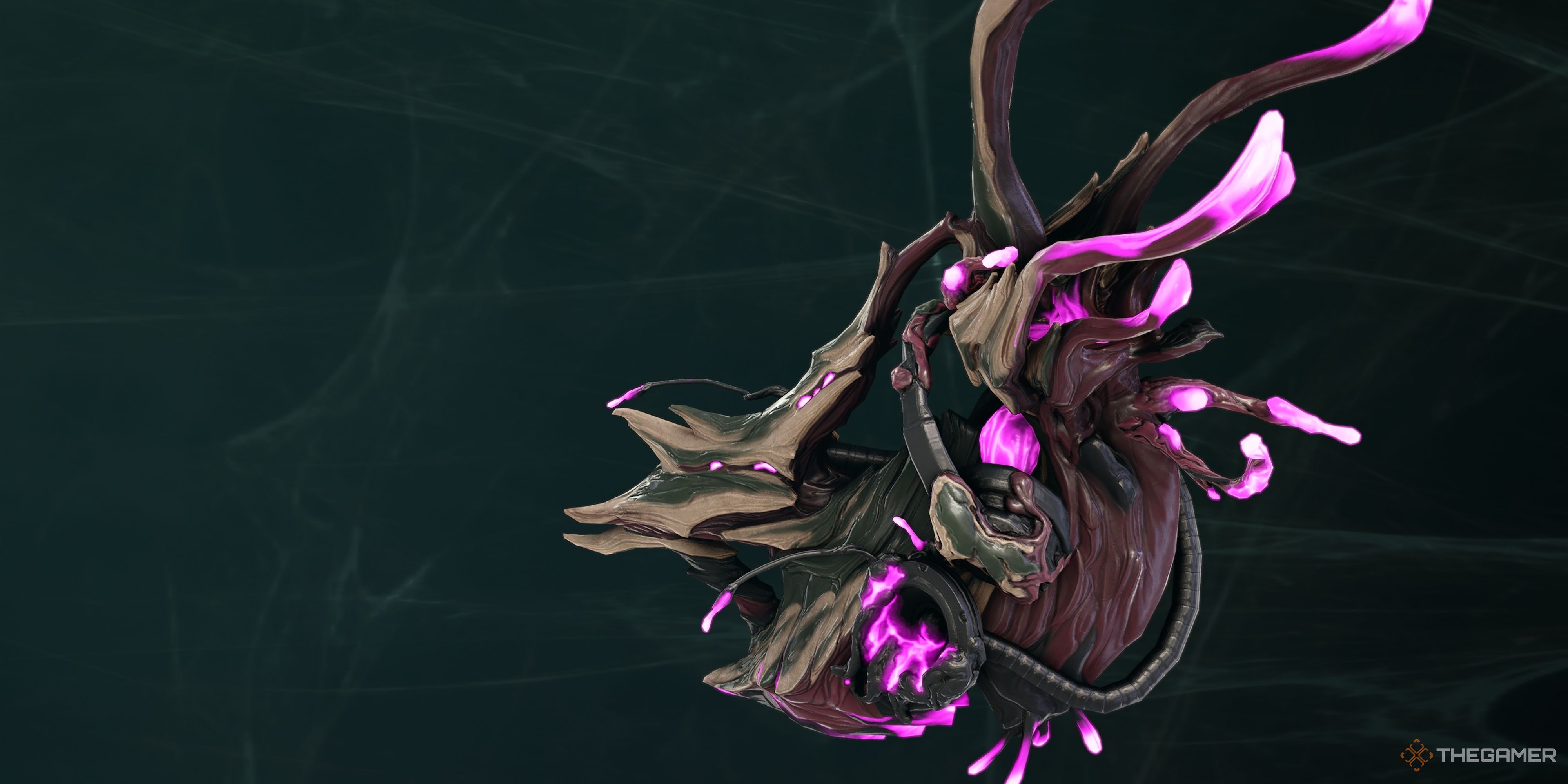 The Best Coda Hema Builds In Warframe