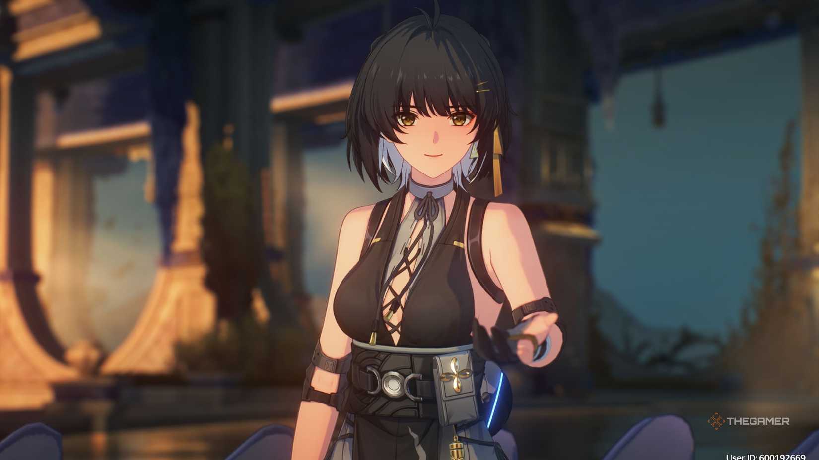 The Best Aero Rover Build, Weapon, Echo, And Team Compositions In ...