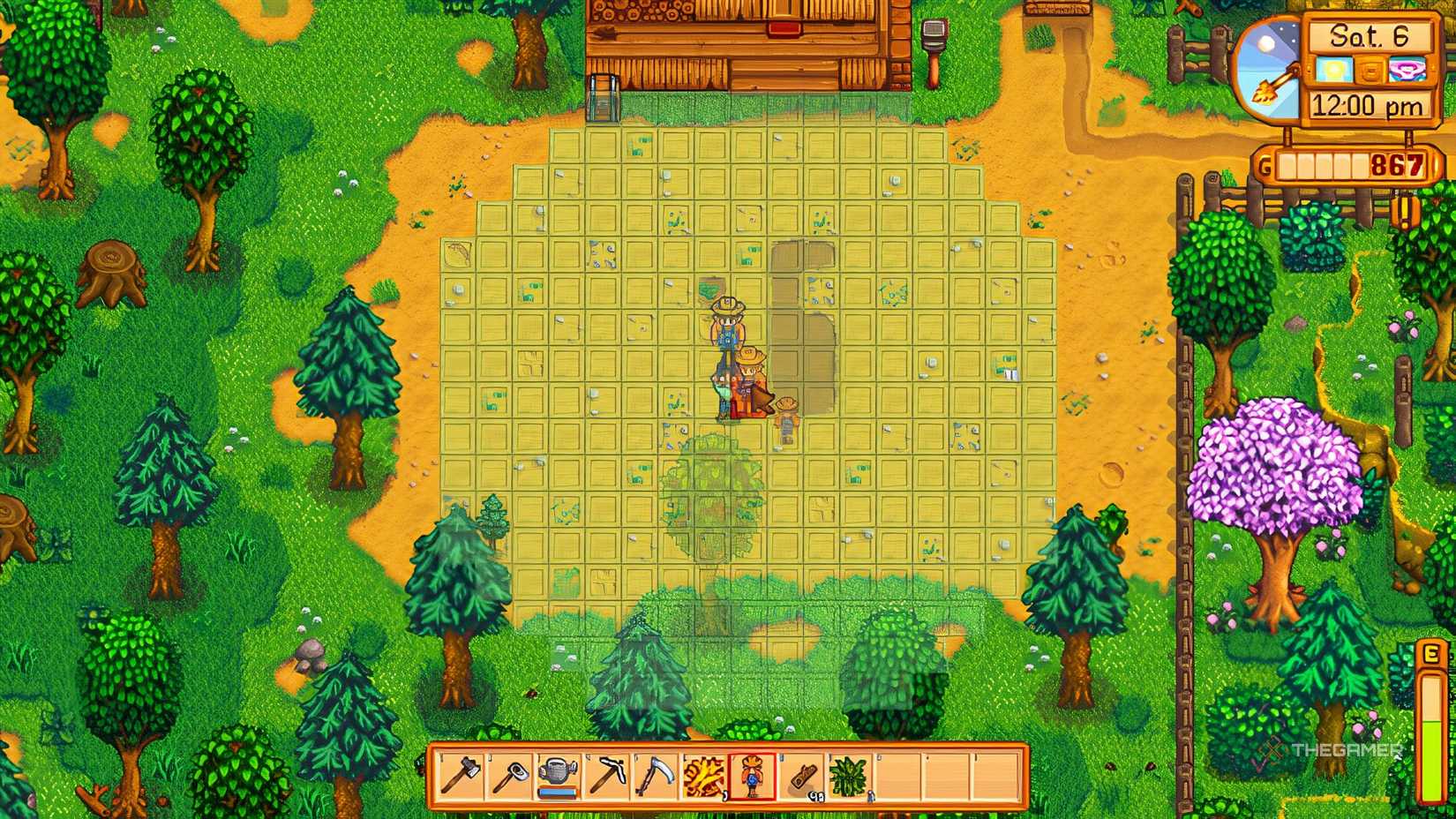 What Is The Scarecrow Range In Stardew Valley?