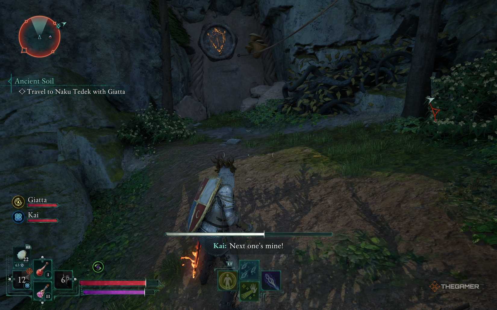 Should You Send The Animancers To Thirdborn Or Paradis?