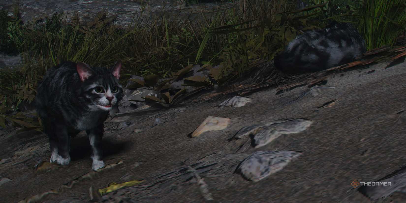 Did You See All These Easter Eggs And References In Assassin's Creed ...