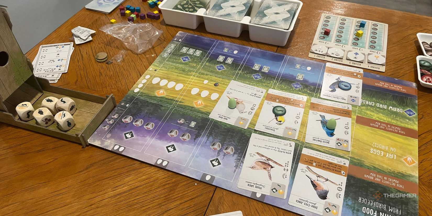 How To Play Wingspan