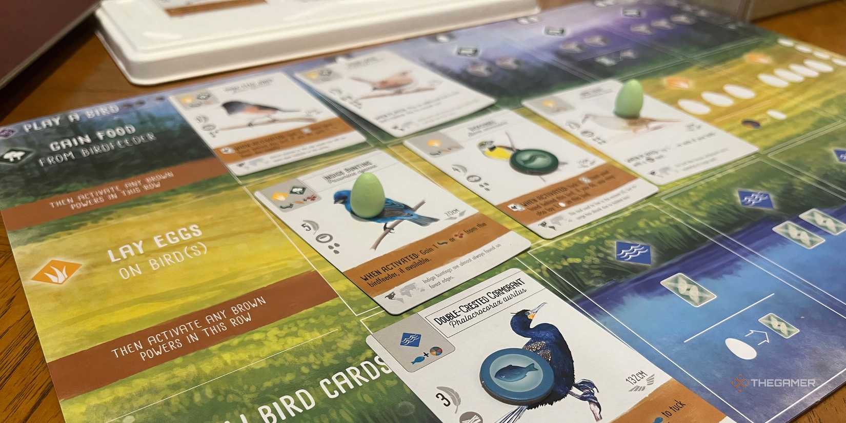 How To Play Wingspan