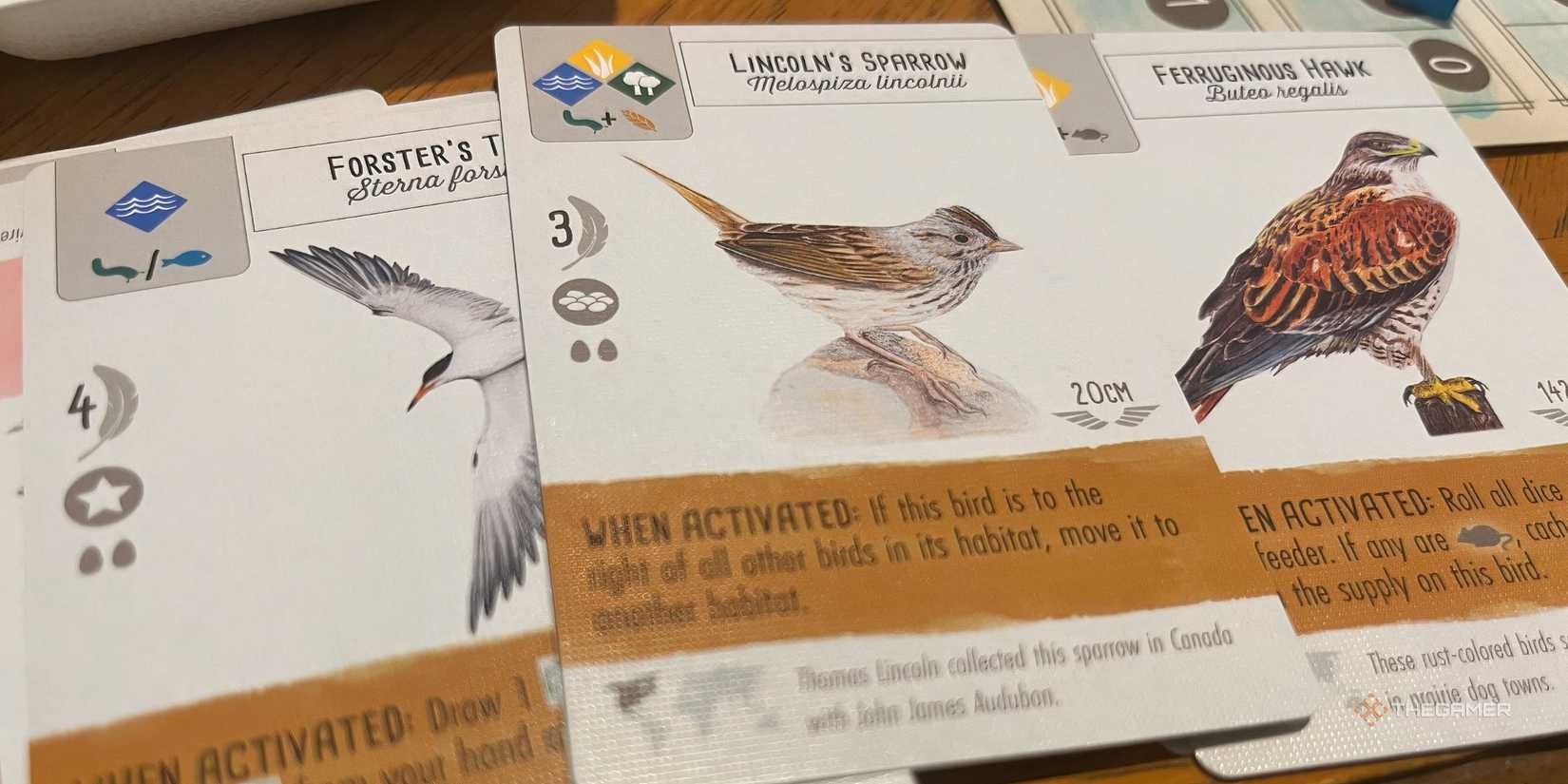 How To Play Wingspan