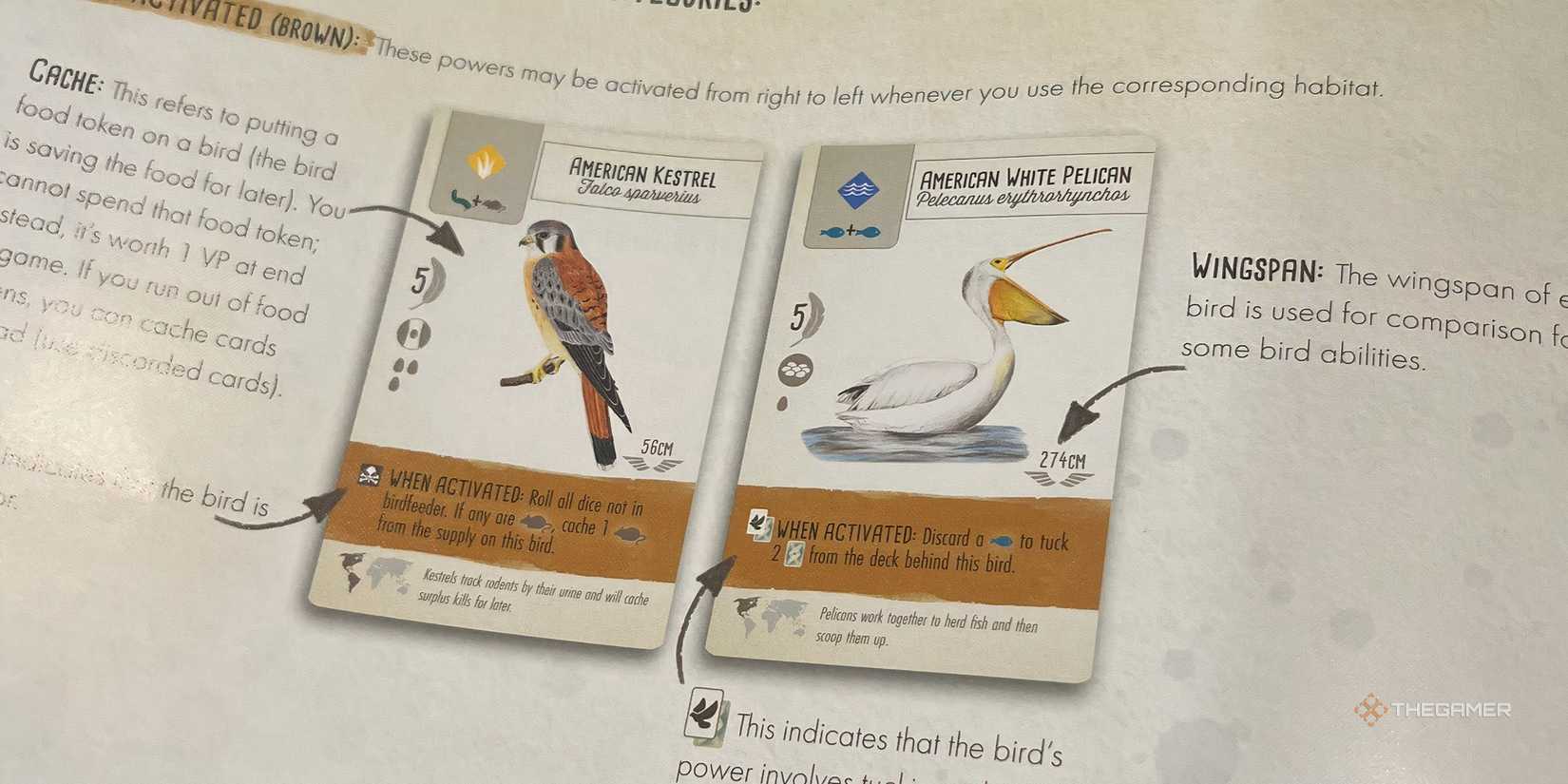 How To Play Wingspan