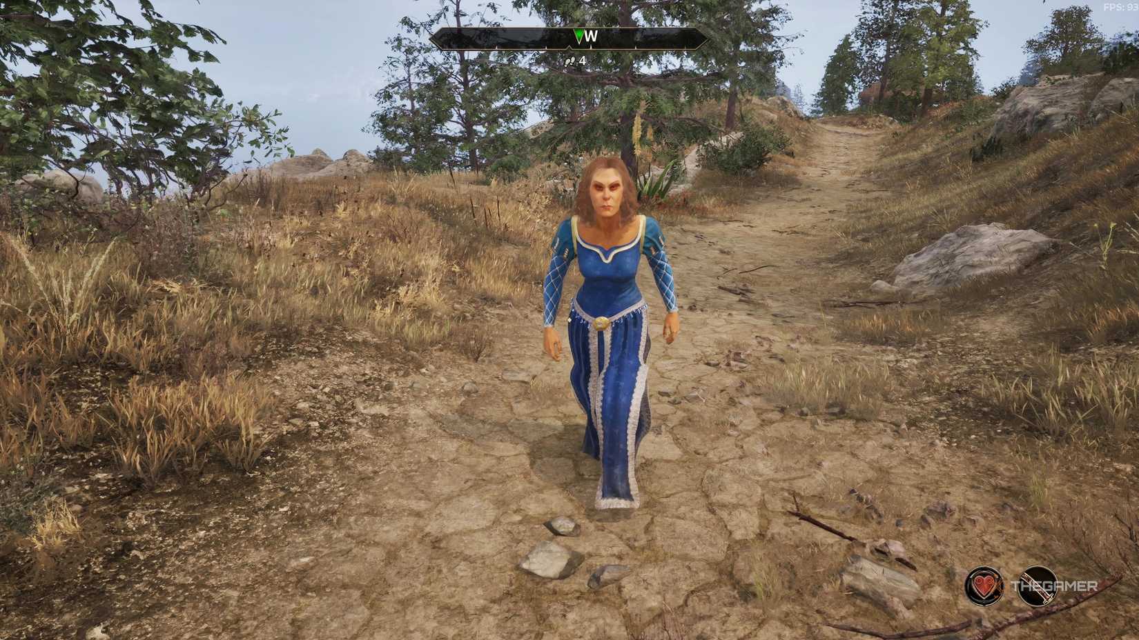 How To Find The Rogue Mage In Anvil's Recommendation Quest In Oblivion ...