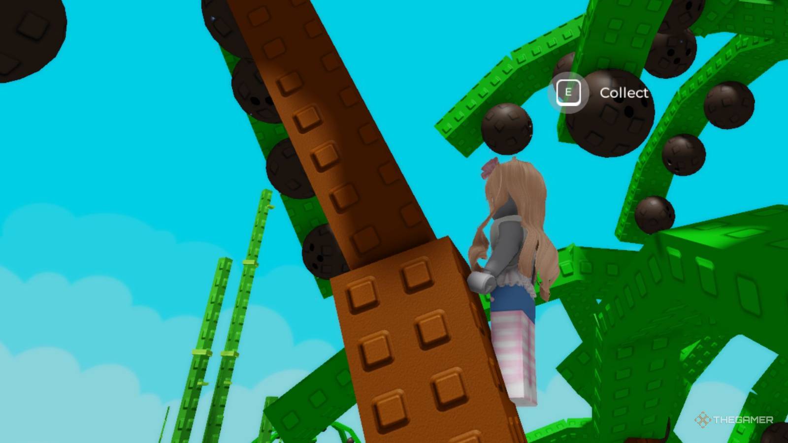 How To Get Coconuts In Roblox: Grow A Garden