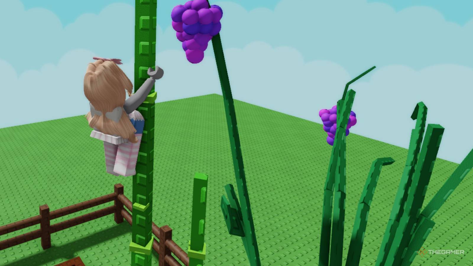 How To Get And Collect Grapes In Roblox: Grow A Garden