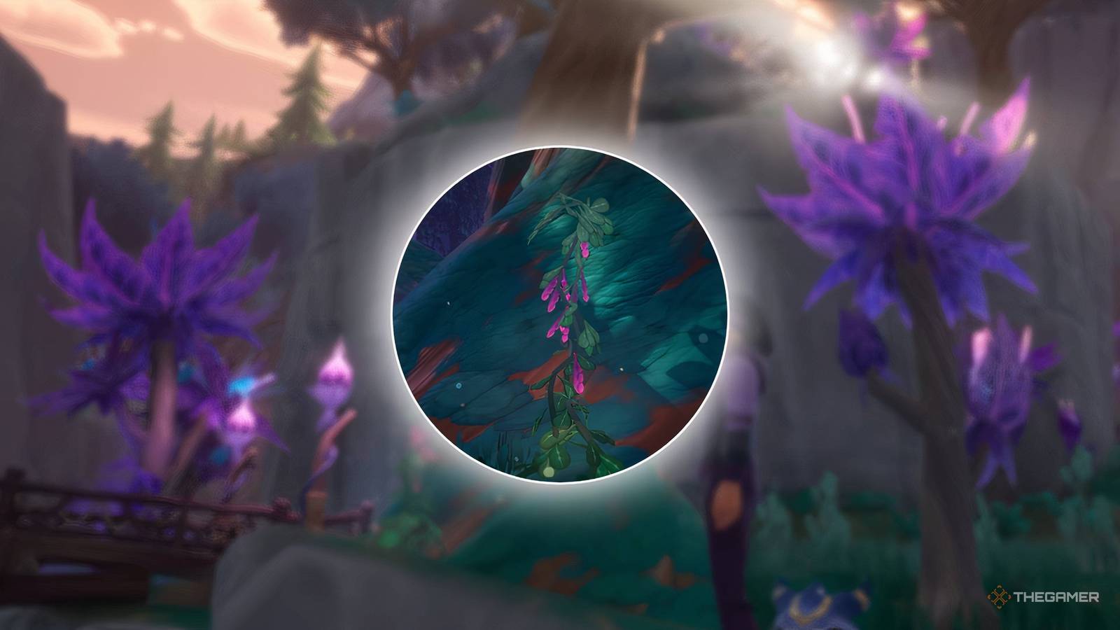 How To Find And Get Batterfly Beans In Palia