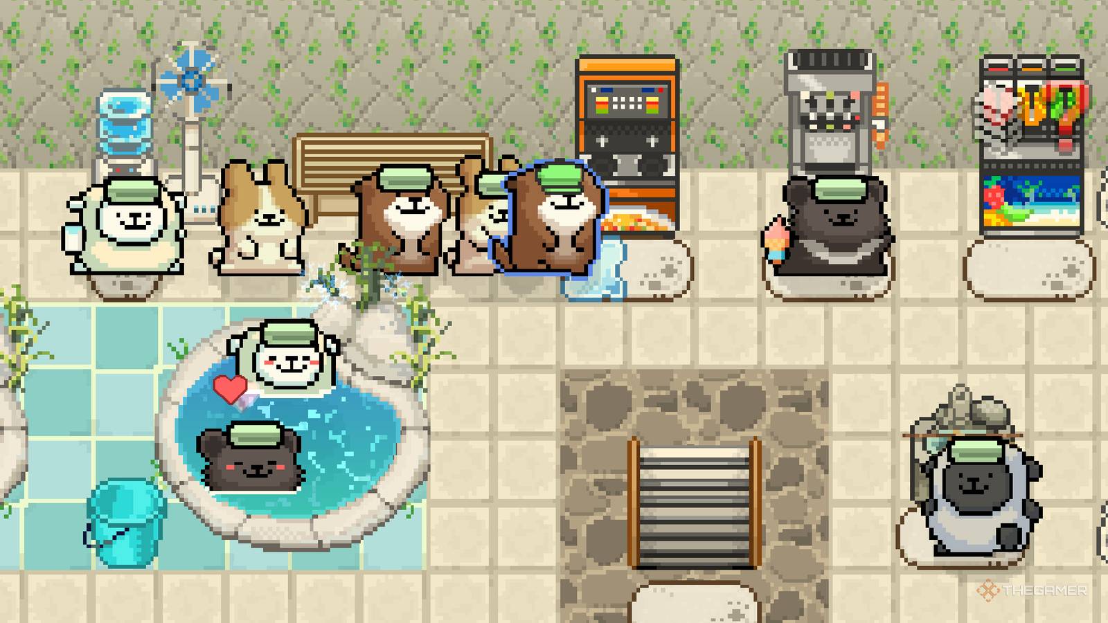 Beginner Tips And Tricks For Animal Spa