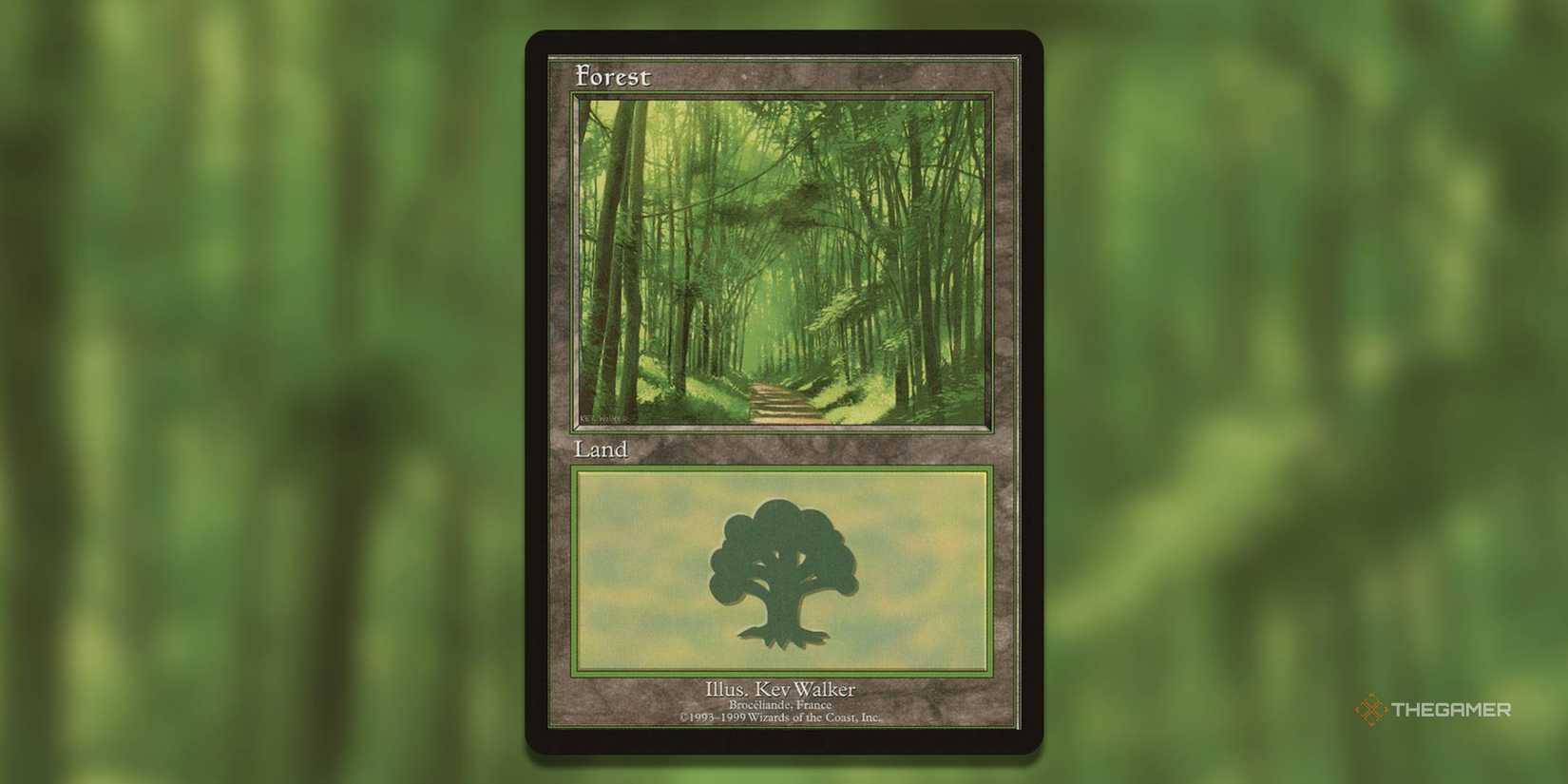 The 10 Most Valuable Basic Forests In MTG