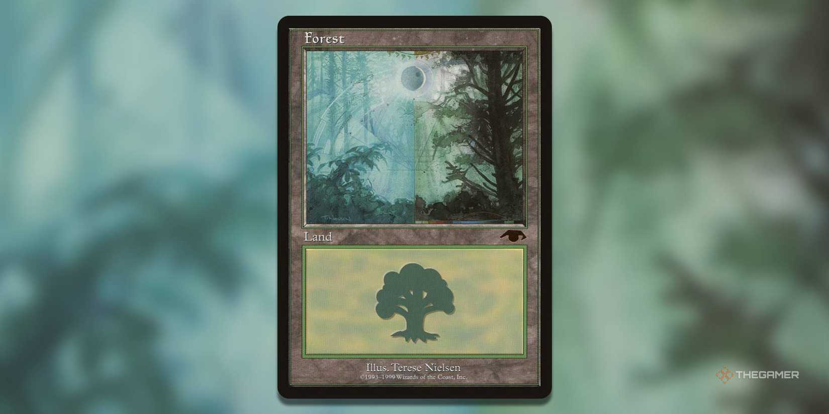 The 10 Most Valuable Basic Forests In MTG