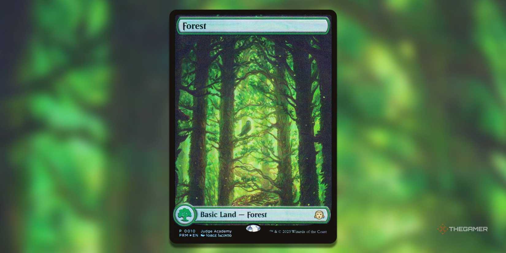 The 10 Most Valuable Basic Forests In MTG