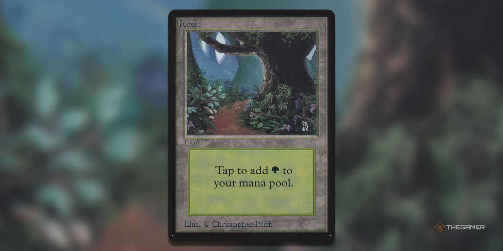 The 10 Most Valuable Basic Forests In MTG