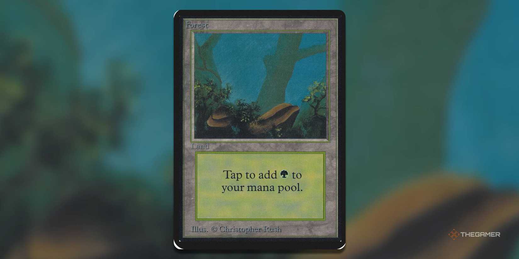 The 10 Most Valuable Basic Forests In MTG