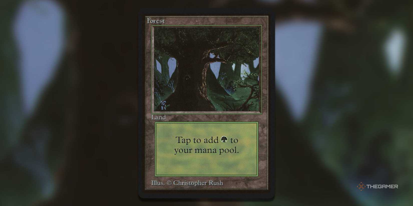 The 10 Most Valuable Basic Forests In MTG