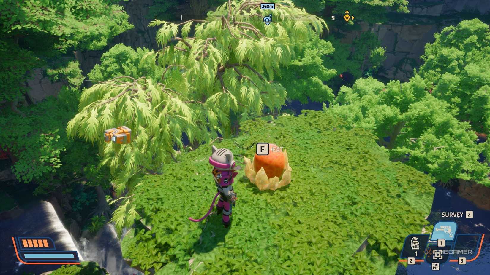 Pro Tips You Should Know Before You Start Playing Revenge Of The Savage ...