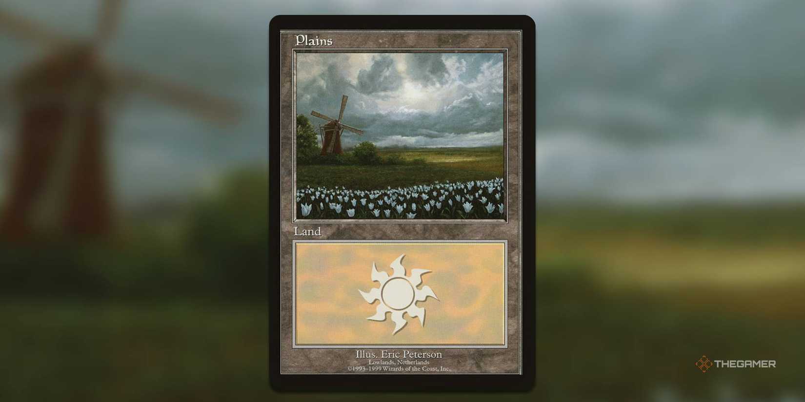 The Most Valuable Basic Plains In MTG
