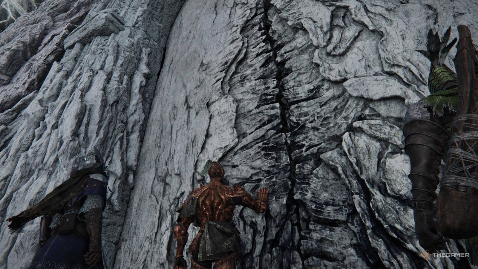 How To Play With Friends In Elden Ring Nightreign