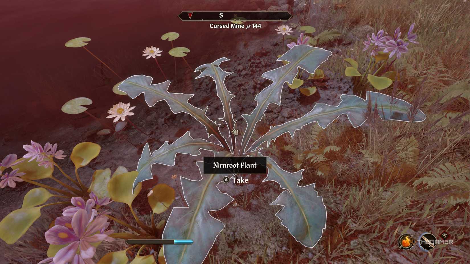 The Best Nirnroot Locations In Oblivion Remastered