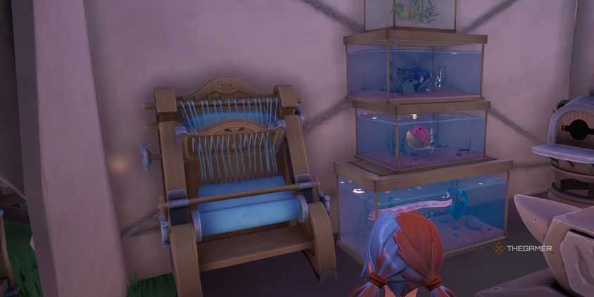 How To Catch A Toadstool Floatfish In Palia.